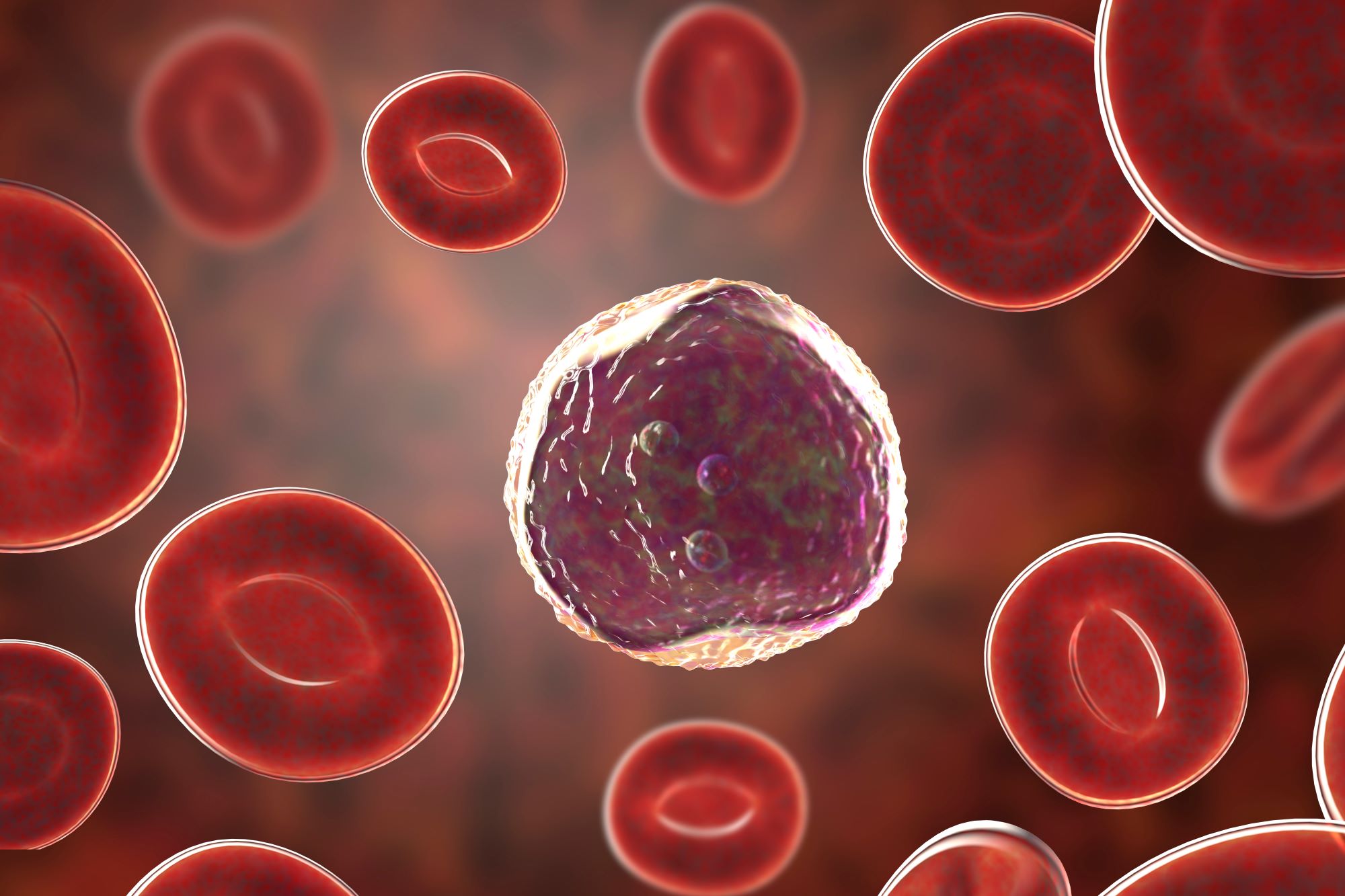 Estudo cria abordagem mais potente contra câncer no sangue - Ecos do Norte
